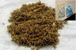 Exploring the Effects of JWH018 and AM-678: The Synthetic Cannabinoid ...