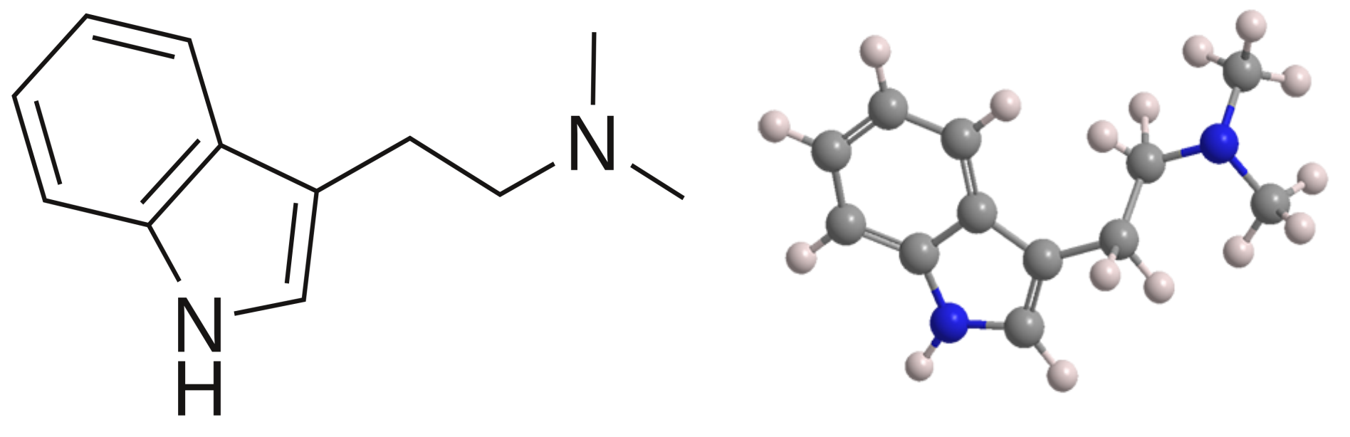 What is DMT? - Safrole