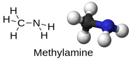 Methylamine Synthesis - Safrole