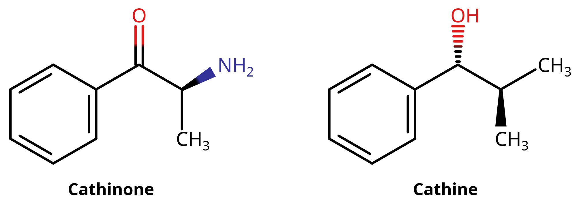 Khat Plant Cathinone - Safrole