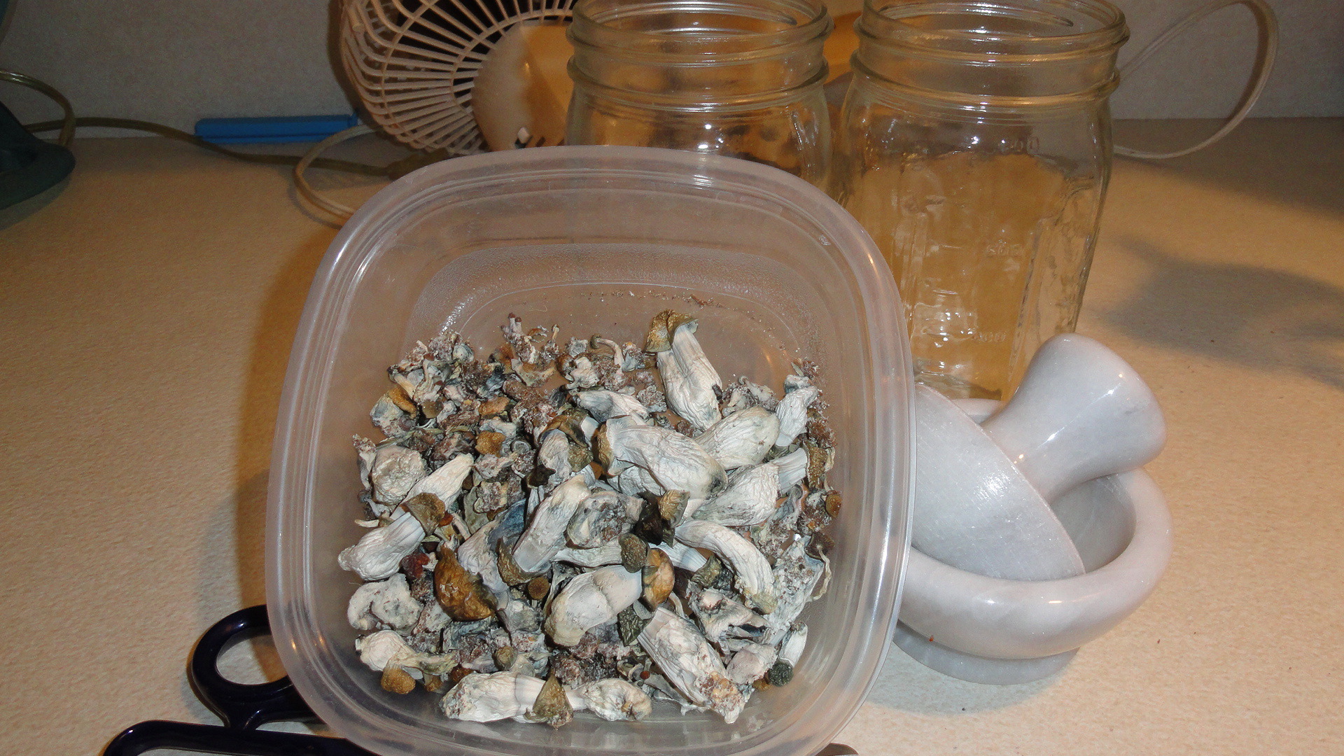 Psilocybin and Psilocin - Safrole