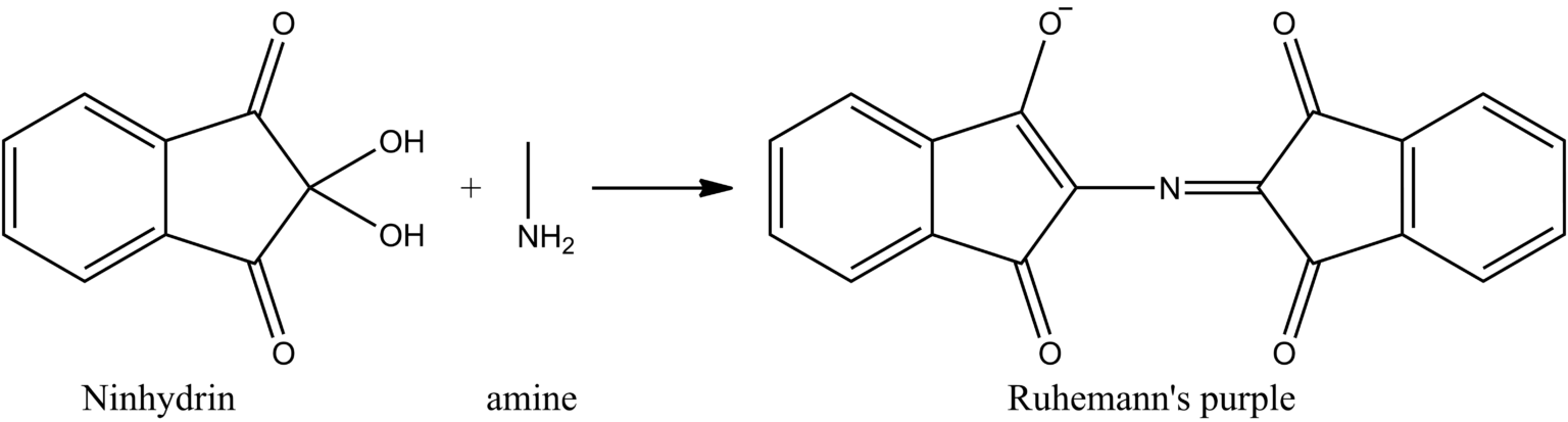 Ninhydrin Test - Safrole