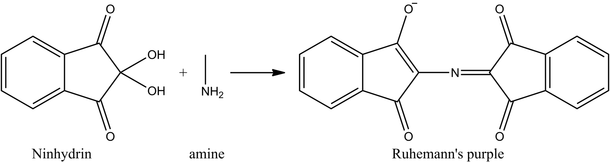 Ninhydrin Test - Safrole