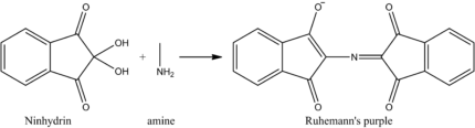 Ninhydrin Test - Safrole