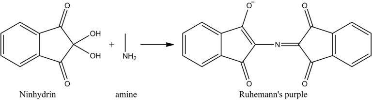 Ninhydrin Test - Safrole