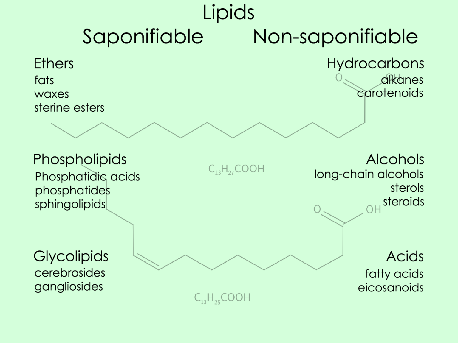 Chemistry and food cooking - Safrole
