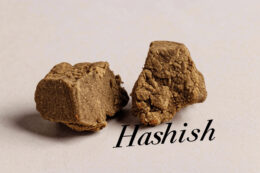 Hashish vs Weed - Safrole