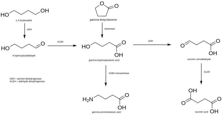GBL or gamma-Butyrolactone: Chemistry and Facts - Safrole