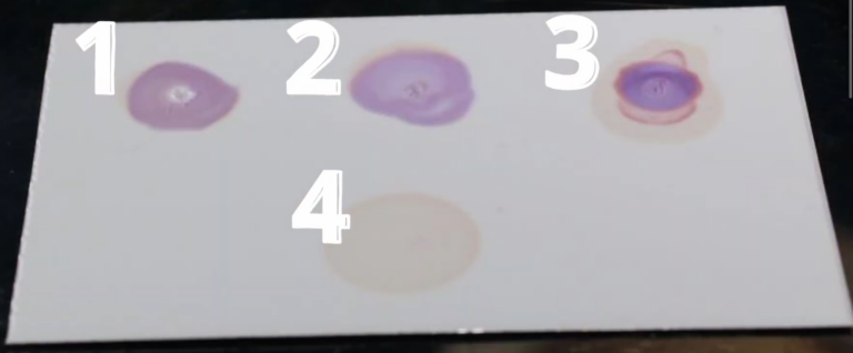 Ninhydrin Test - Safrole