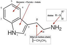About Tryptamine: Chemistry, Uses and General - Safrole