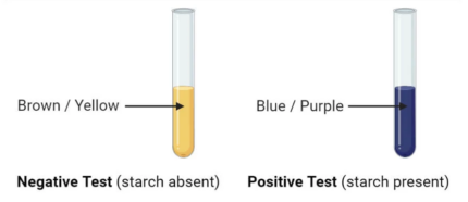 Qualitative reaction to starch. Iodine test. - Safrole
