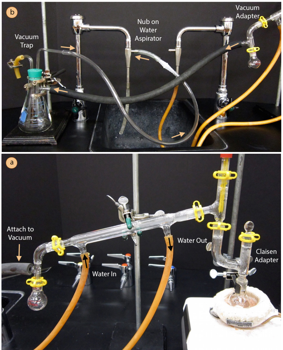 Vacuum in Labs - Safrole