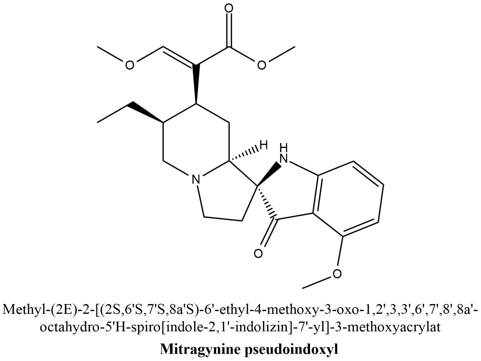 Kratom's Mitragynine Pseudoindoxyl: A Natural Indole Alkaloid with ...