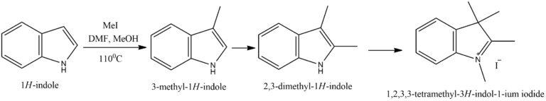 Exploring the World of Indole: Synthesis, Chemistry and Biofunctions ...