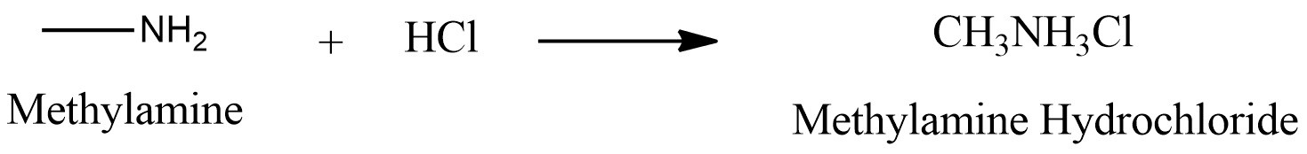 What is Methylamine? - Safrole