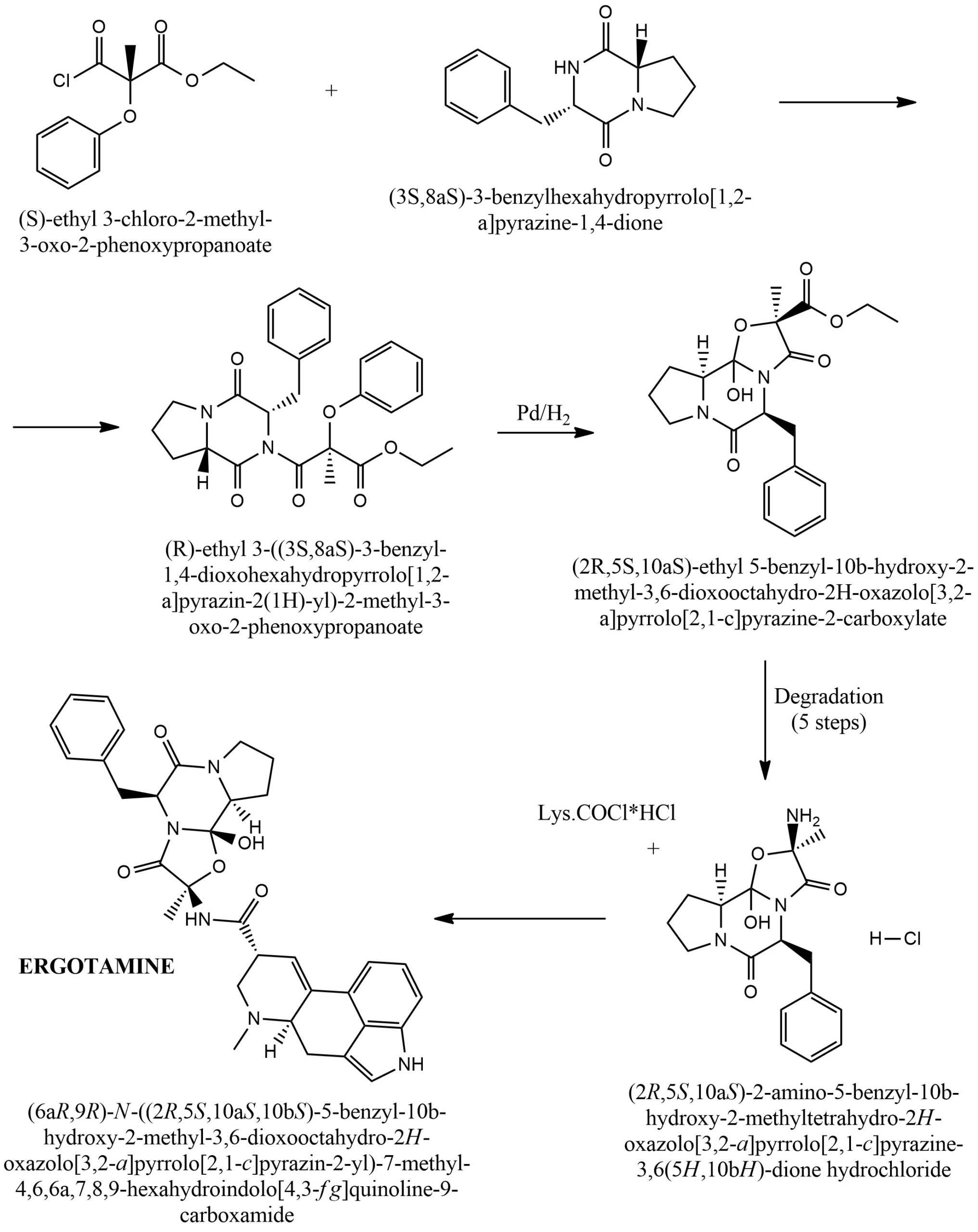 Ergotamin: Synthesis, Physico-Chemical Properties, and Pharmacology ...