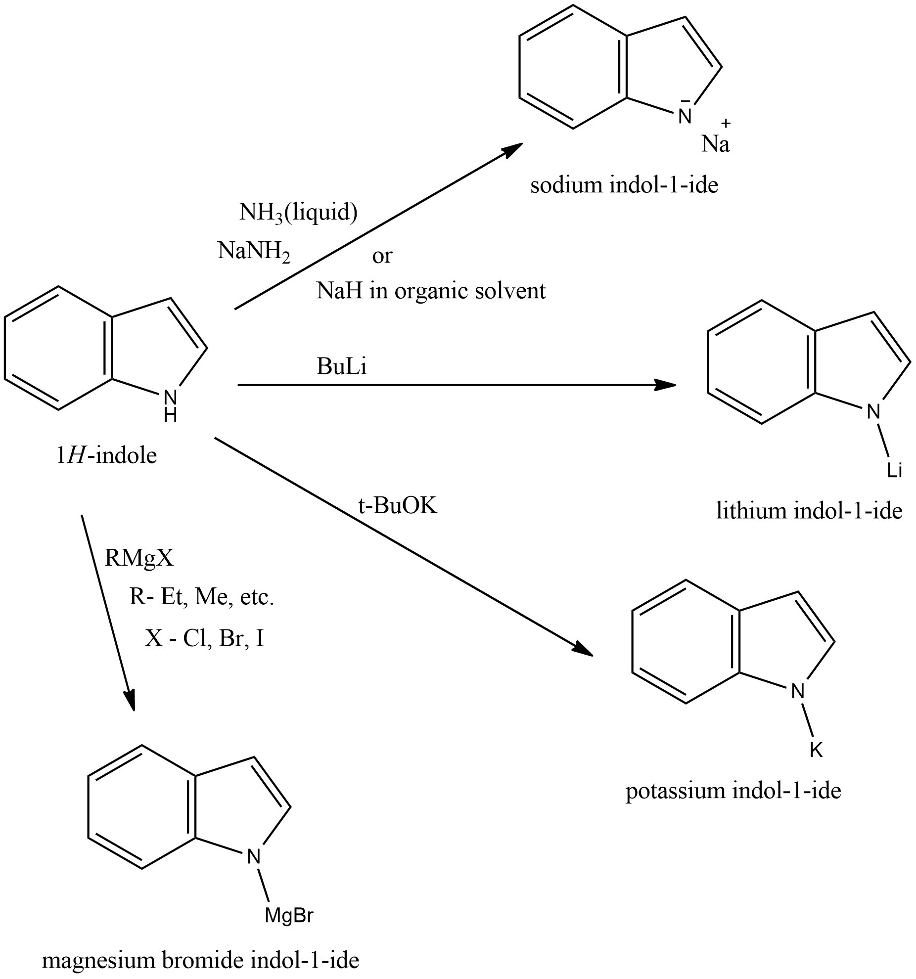 Exploring the World of Indole: Synthesis, Chemistry and Biofunctions ...