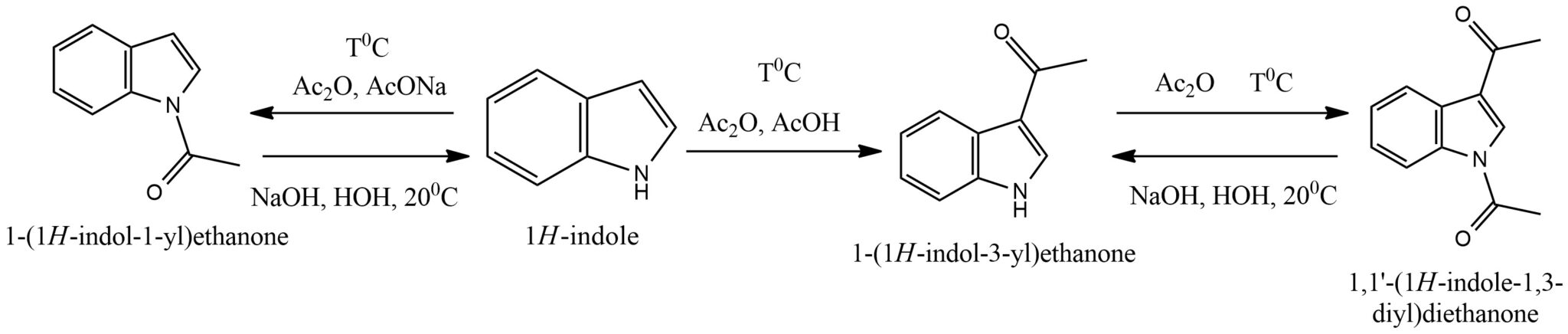 Exploring the World of Indole: Synthesis, Chemistry and Biofunctions ...