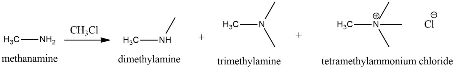 What is Methylamine? - Safrole